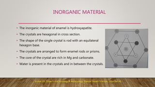 Enamel CONSERVATIVE DENTISTRY AND ENDODONTICS | PPTX