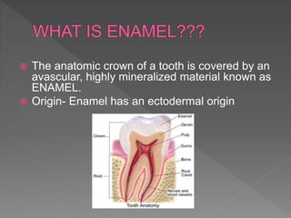 Enamel | PPTX