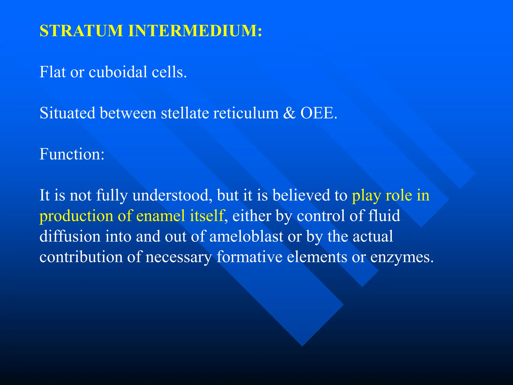 TOOTH ENAMEL - HISTOPATHOLOGY FOR STUDENTS | PPT