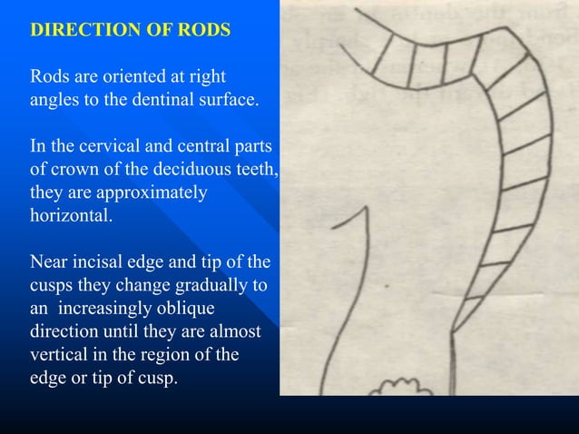 TOOTH ENAMEL - HISTOPATHOLOGY FOR STUDENTS | PPT