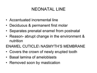 Final enamel Powerpoint including morphological and histological ...