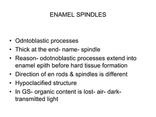 Final enamel Powerpoint including morphological and histological ...
