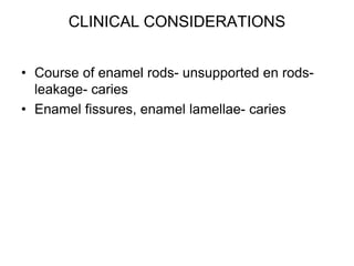 Final enamel Powerpoint including morphological and histological ...