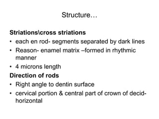 Final enamel Powerpoint including morphological and histological ...