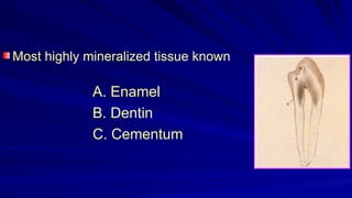 ENAMEL & Physical characteristic and development ppt | PPT