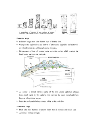 Enamel done | DOCX