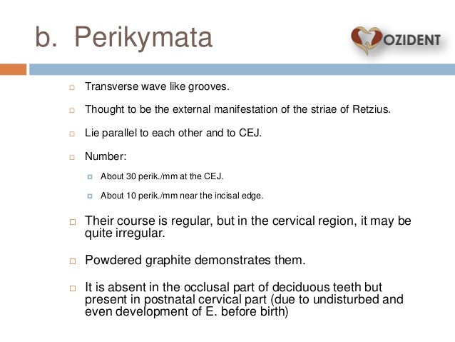 Dental Anatomy: Enamel