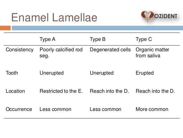 Dental Anatomy: Enamel