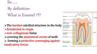 Enamel & amelogenesis part 1 | PPTX