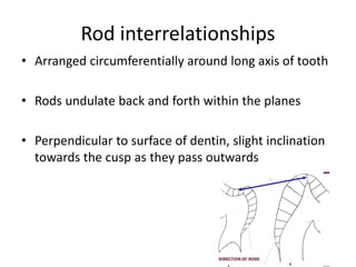 Dental anato Enamel and Amelogenesis.pdf