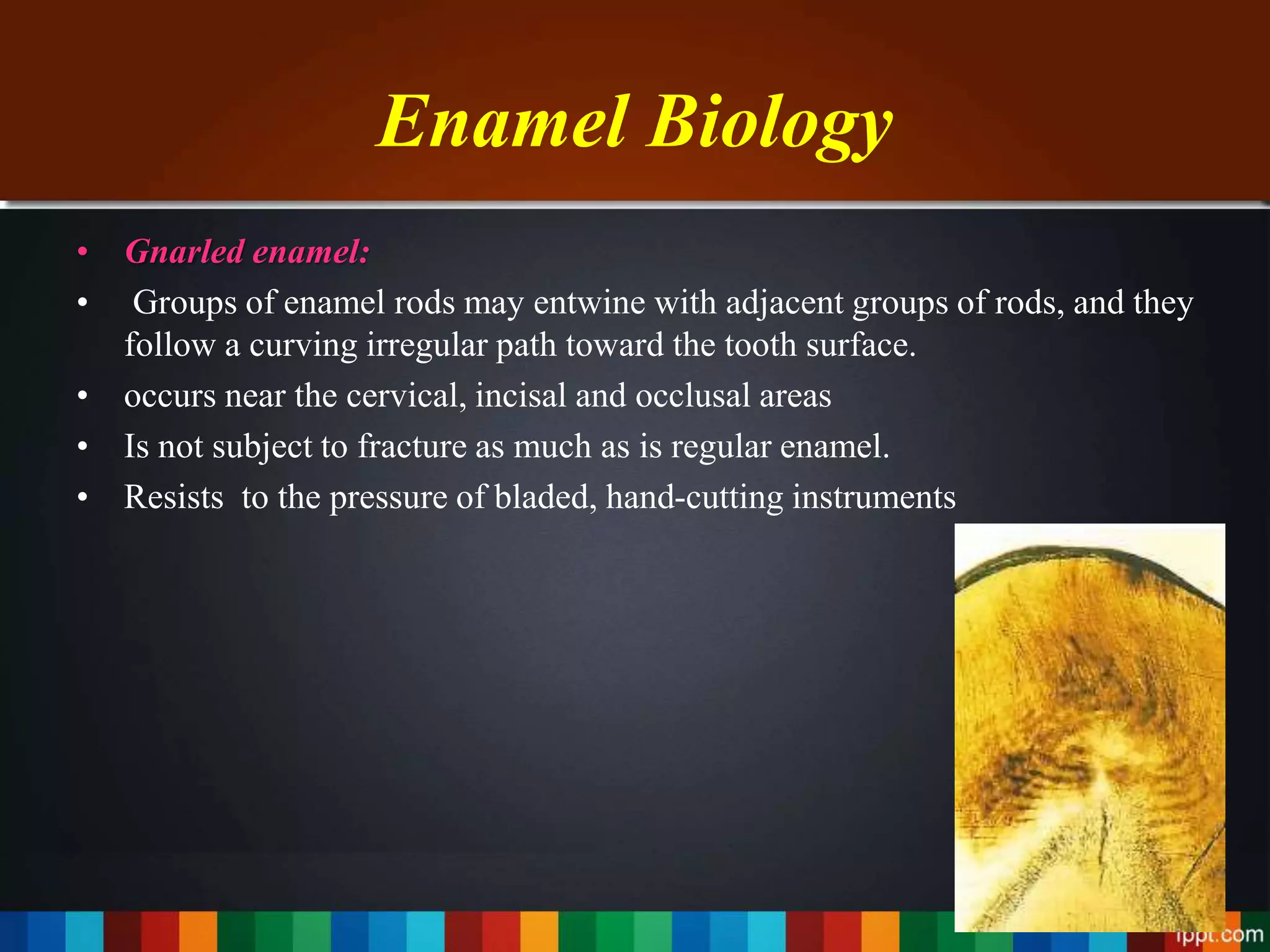 enamel and dentin biology.ppt