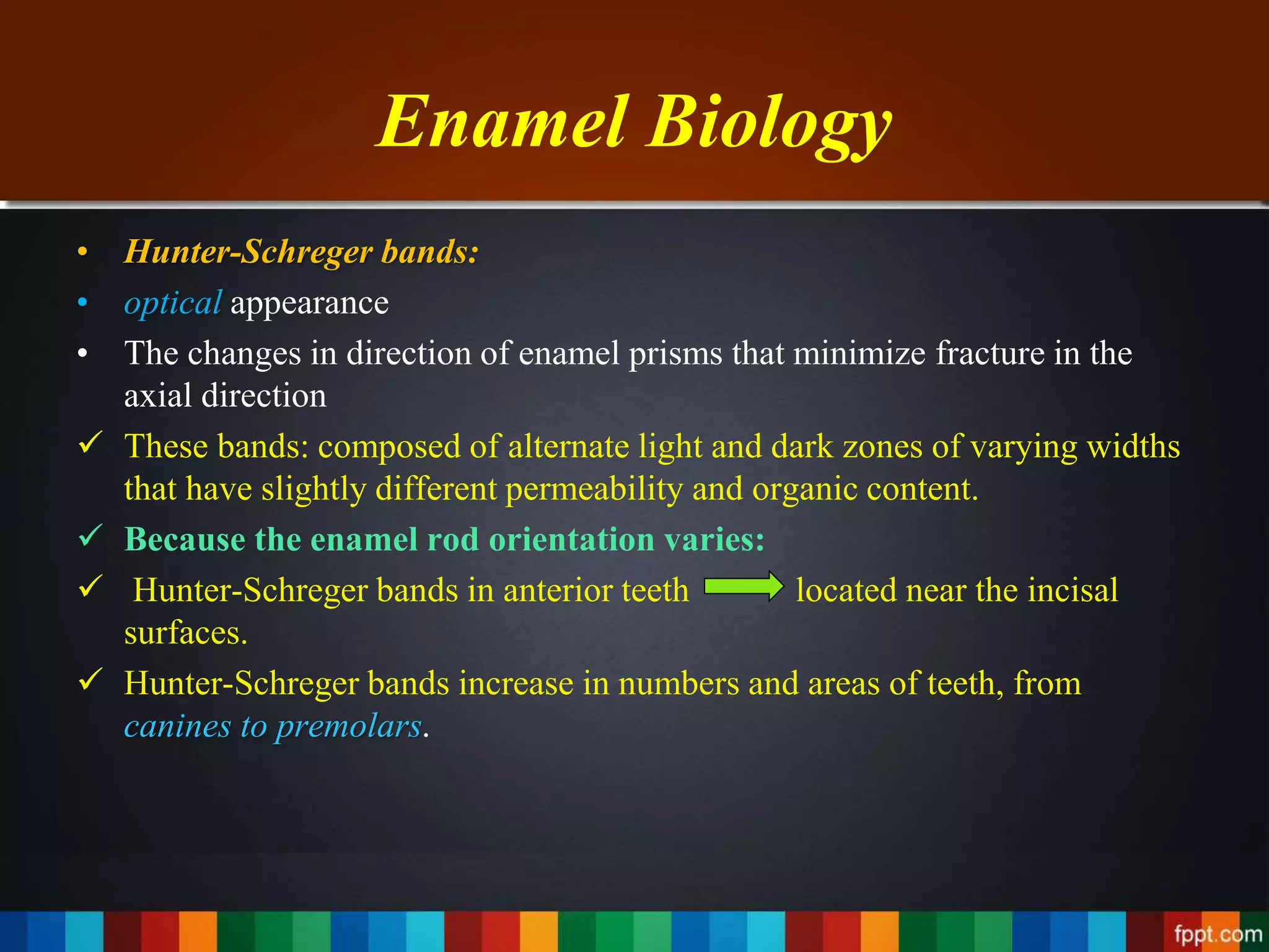 enamel and dentin biology.ppt