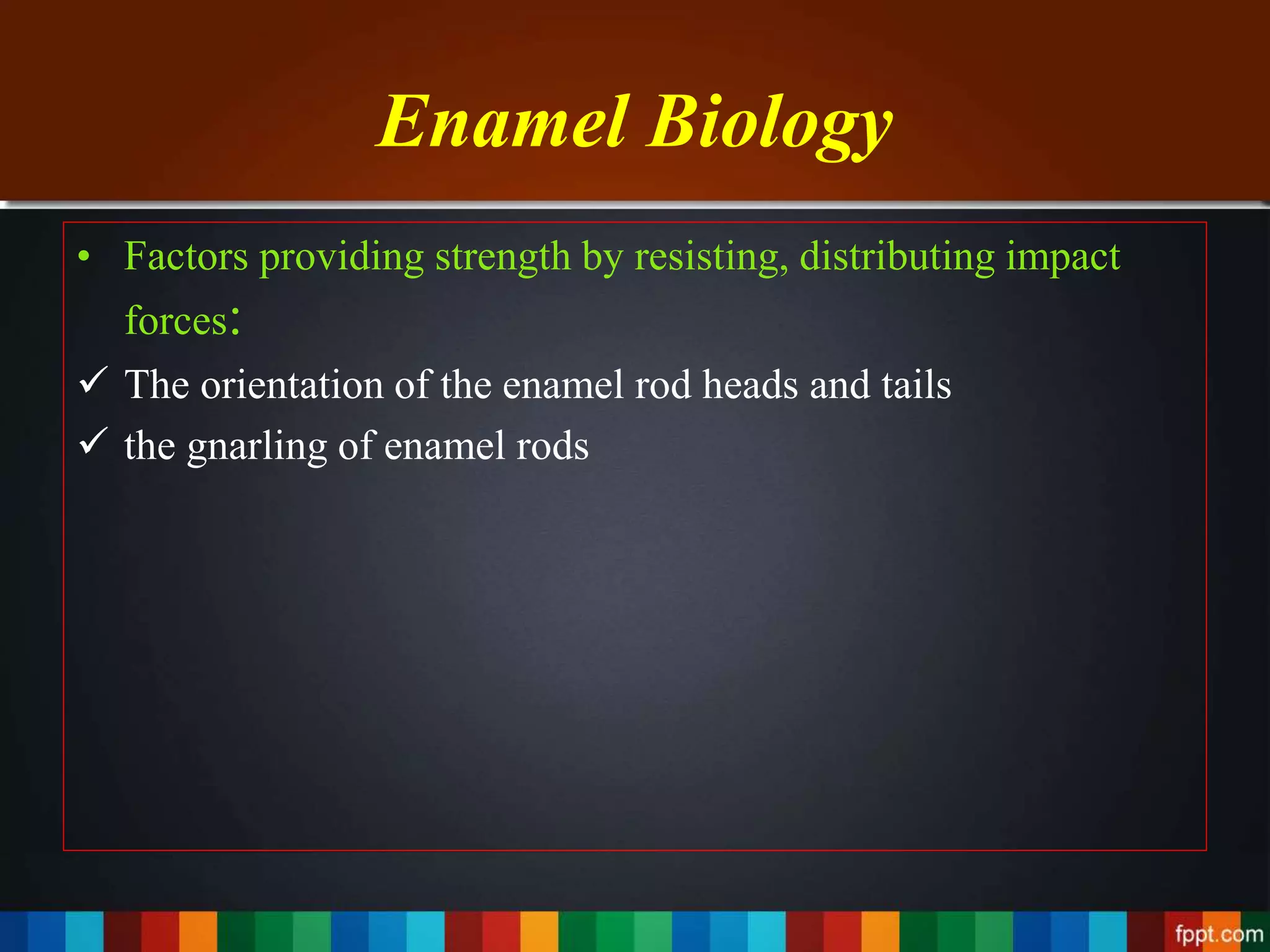 enamel and dentin biology.ppt