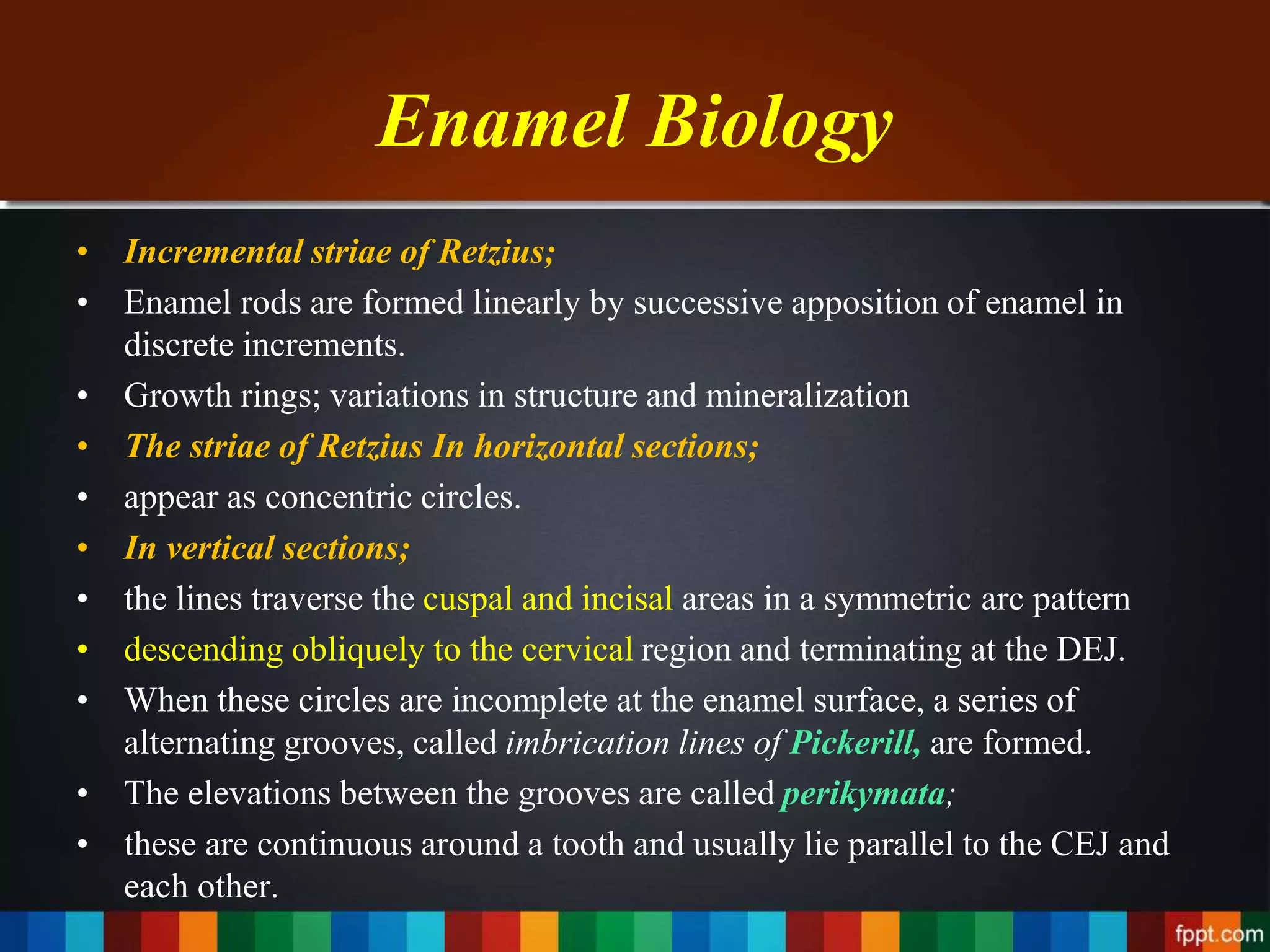 enamel and dentin biology.ppt