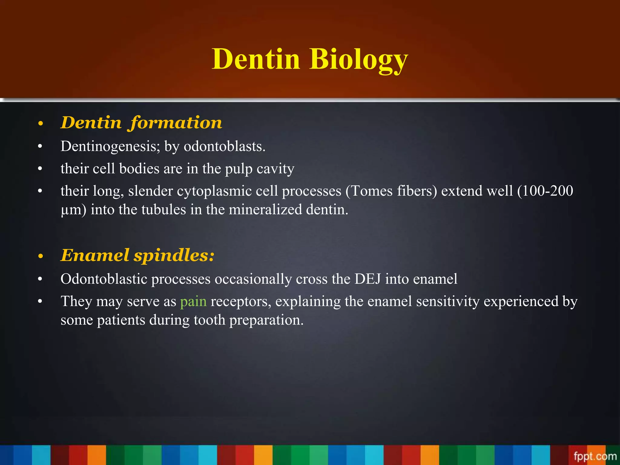 enamel and dentin biology.ppt
