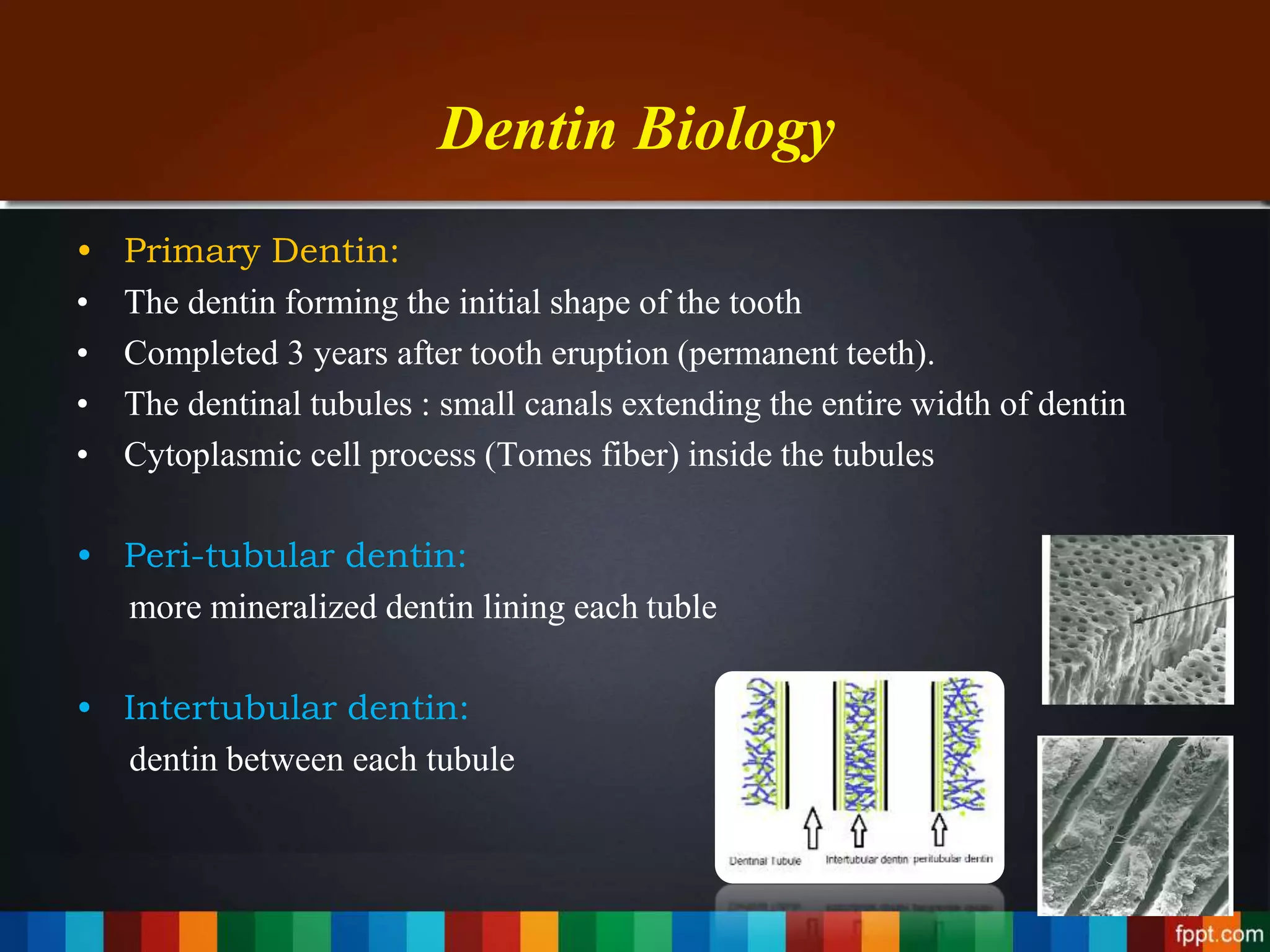 enamel and dentin biology.ppt