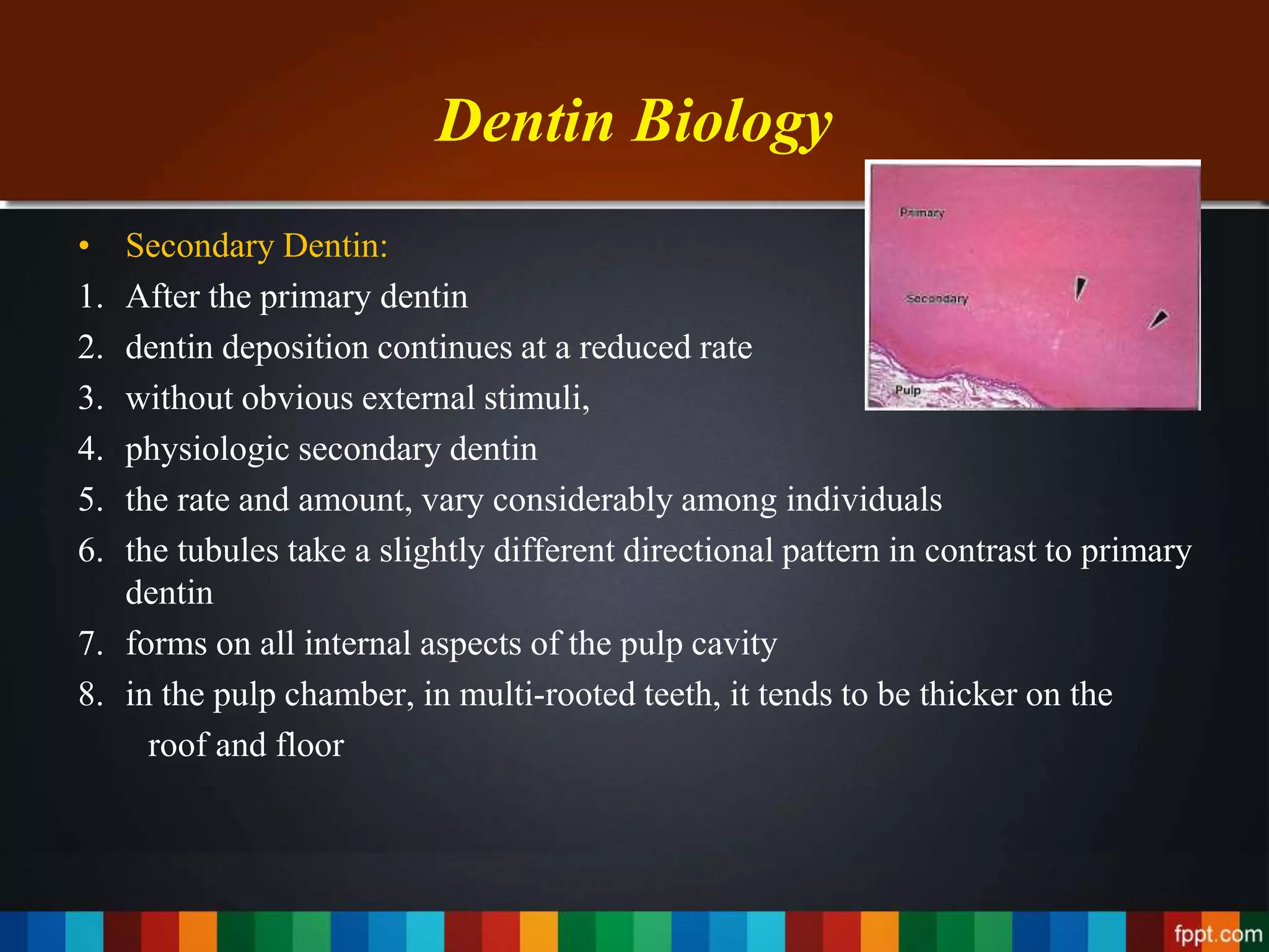 enamel and dentin biology.ppt