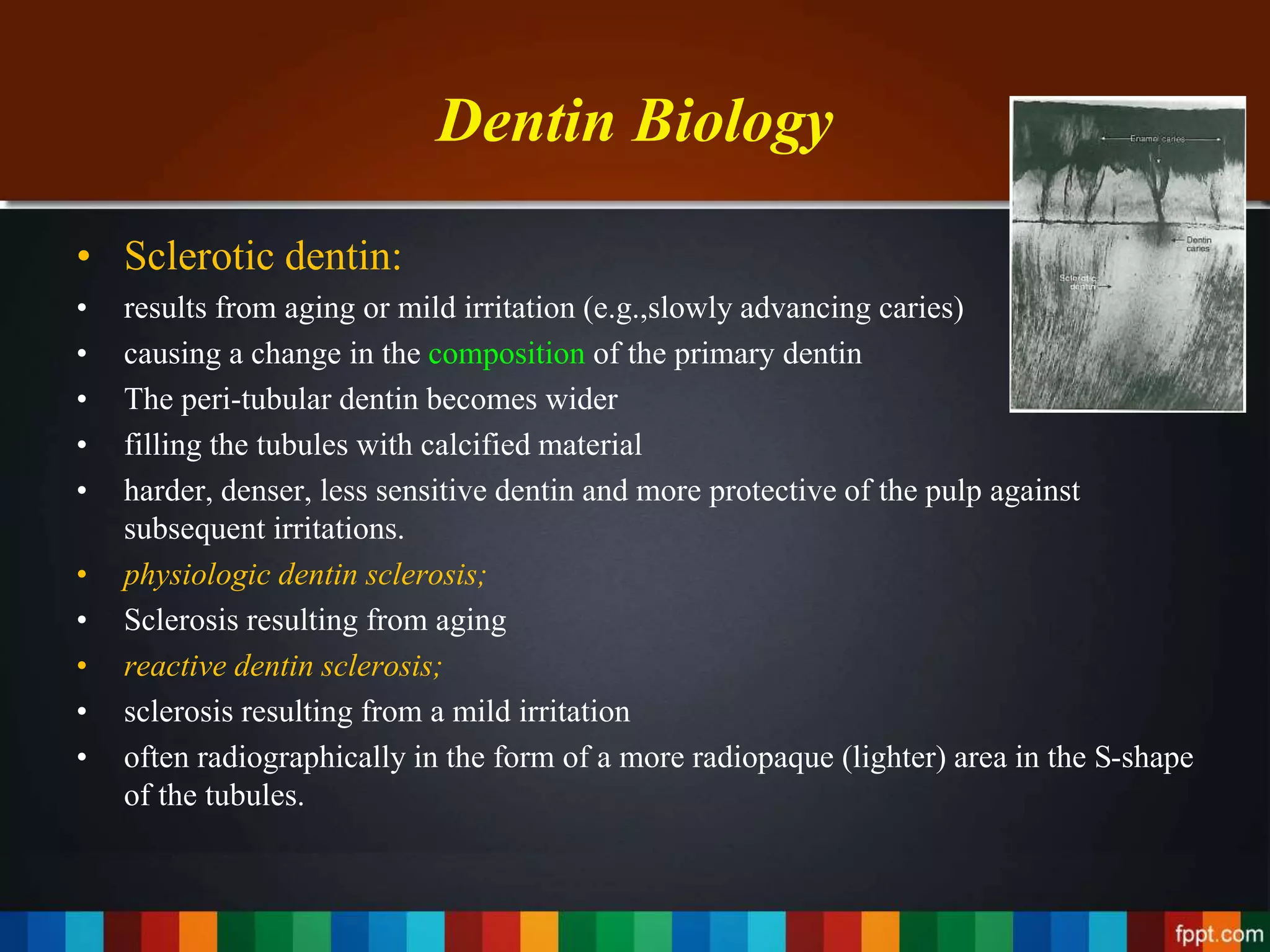 enamel and dentin biology.ppt