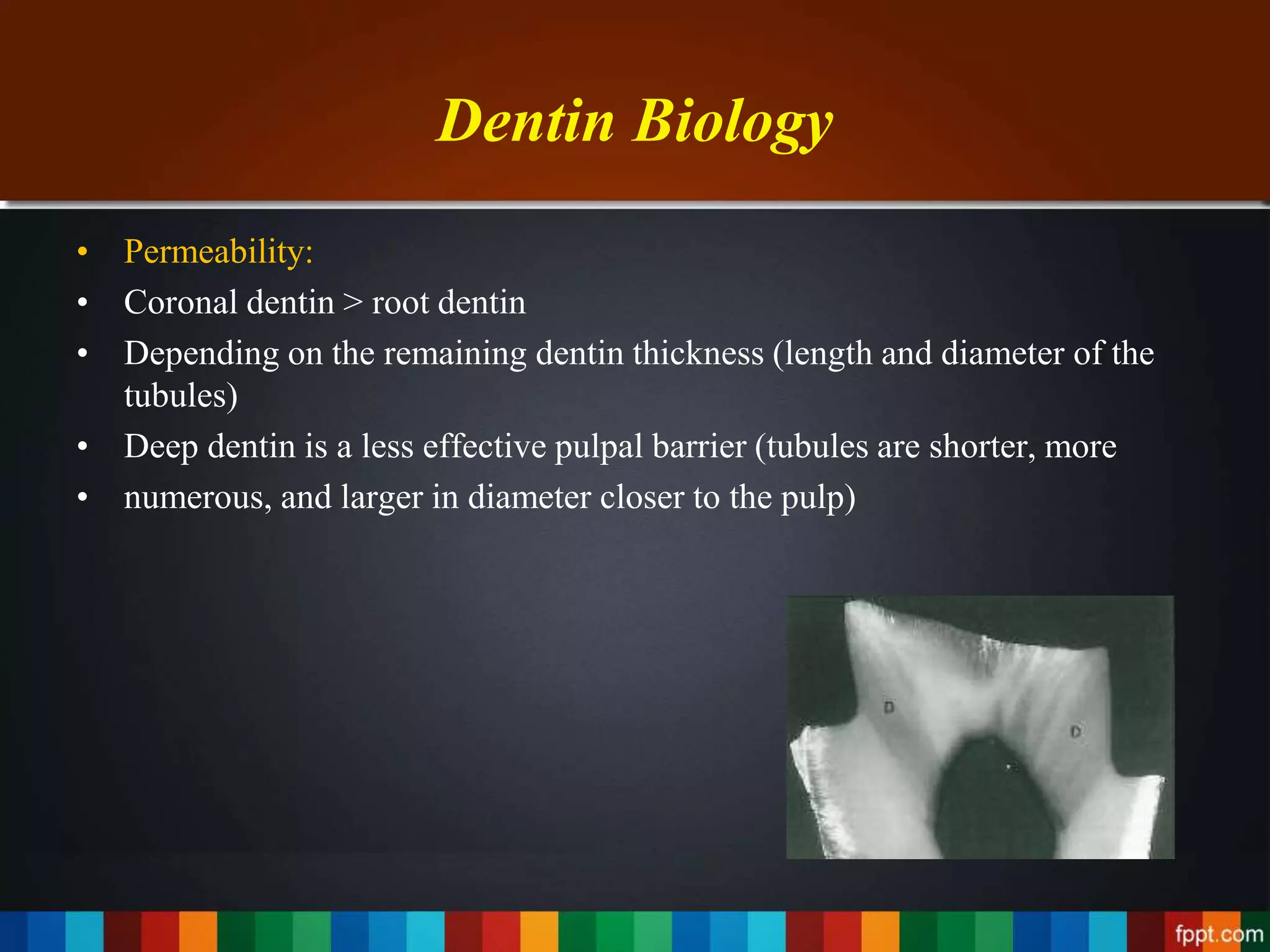 enamel and dentin biology.ppt