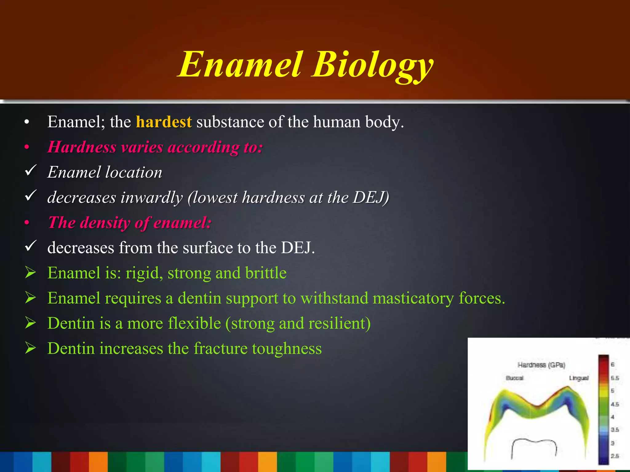 enamel and dentin biology.ppt