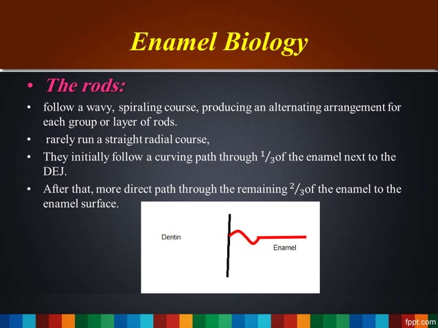 enamel and dentin biology.ppt | Dental Health | Diseases and Conditions