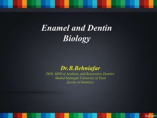 enamel and dentin biology.ppt