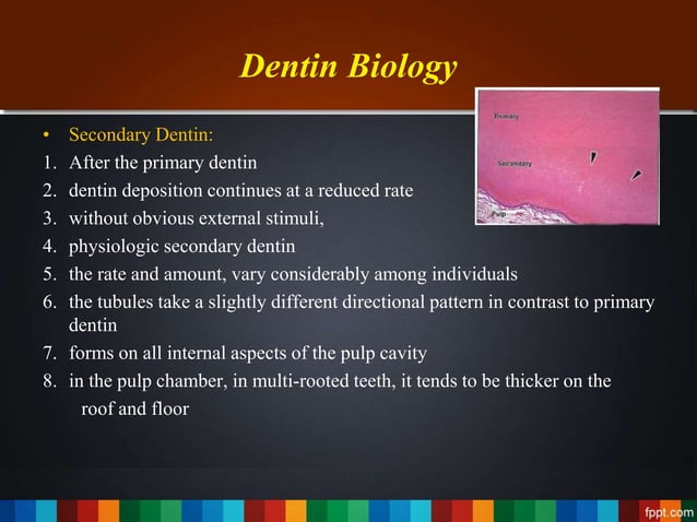enamel and dentin biology.ppt | Dental Health | Diseases and Conditions
