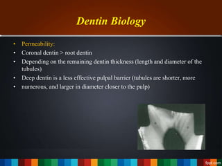 enamel and dentin biology.ppt
