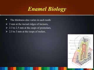enamel and dentin biology.ppt