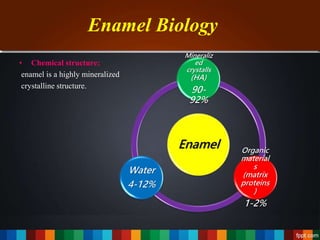 enamel and dentin biology.ppt