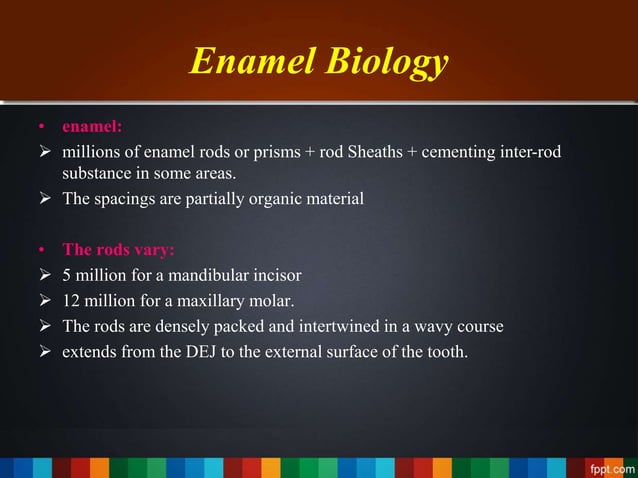 enamel and dentin biology.ppt | Dental Health | Diseases and Conditions