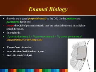 enamel and dentin biology.ppt