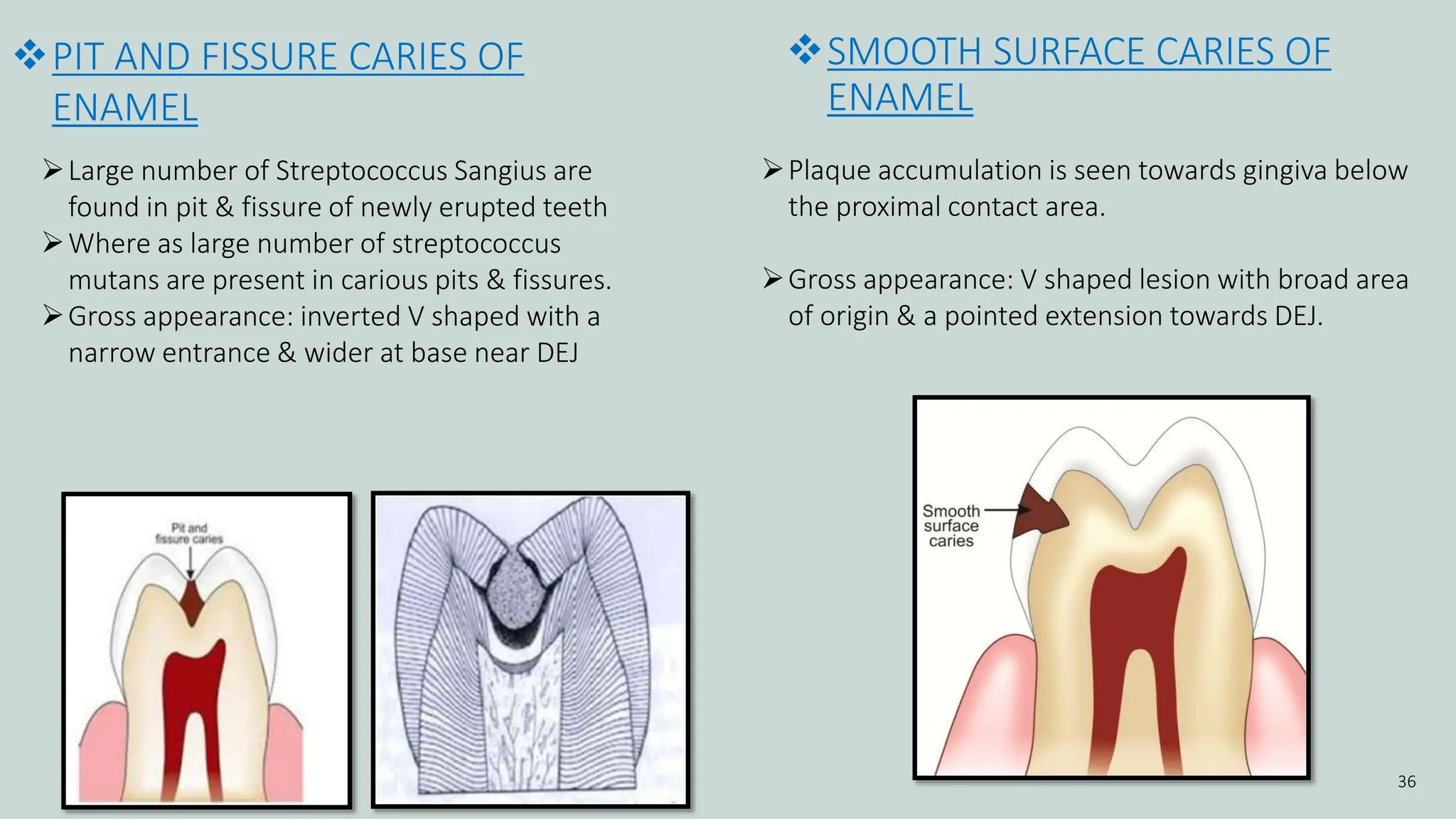 Enamel _ Ashel _ up . pptx | PPTX