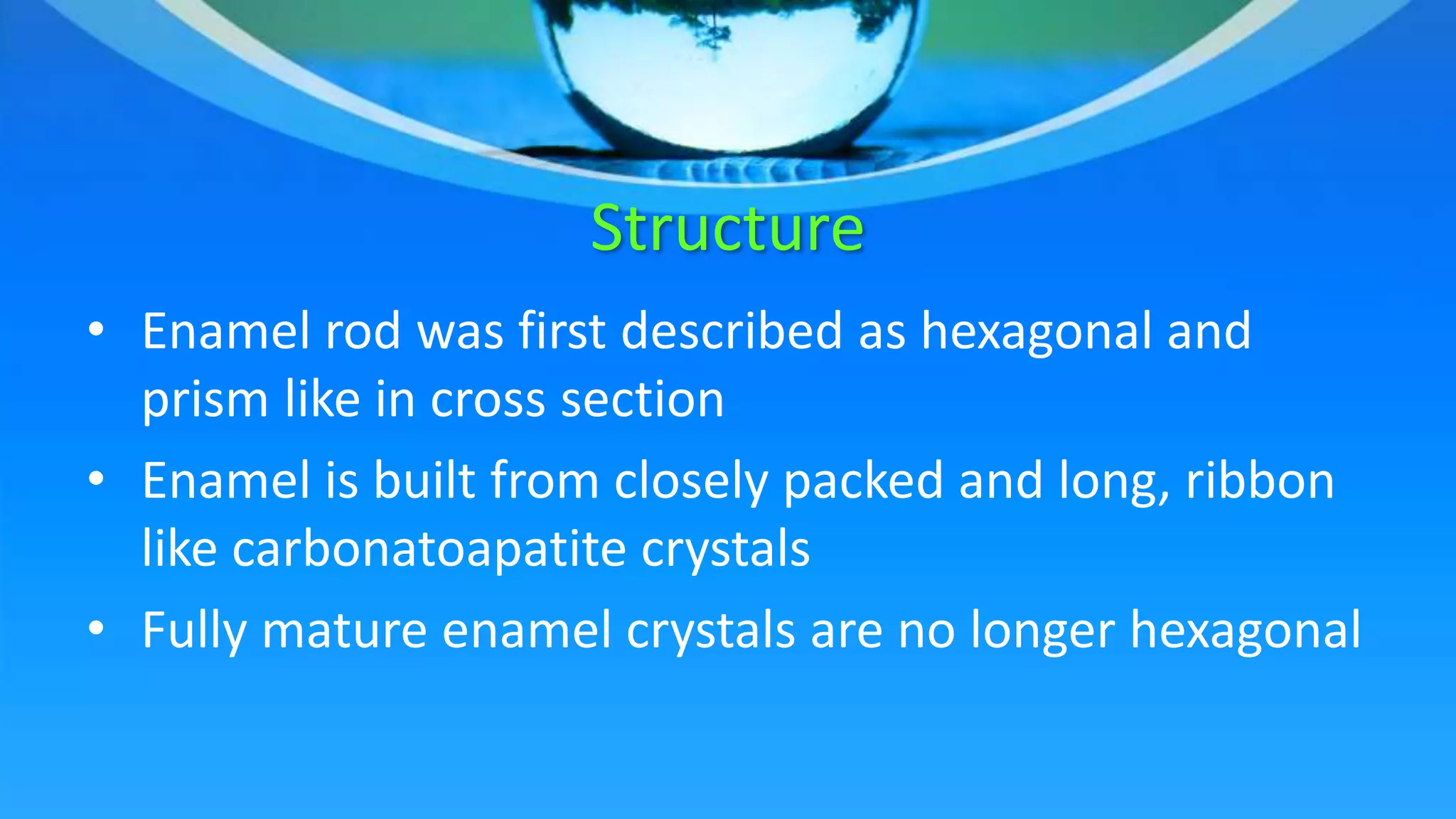 Enamel composition and structure | PPTX