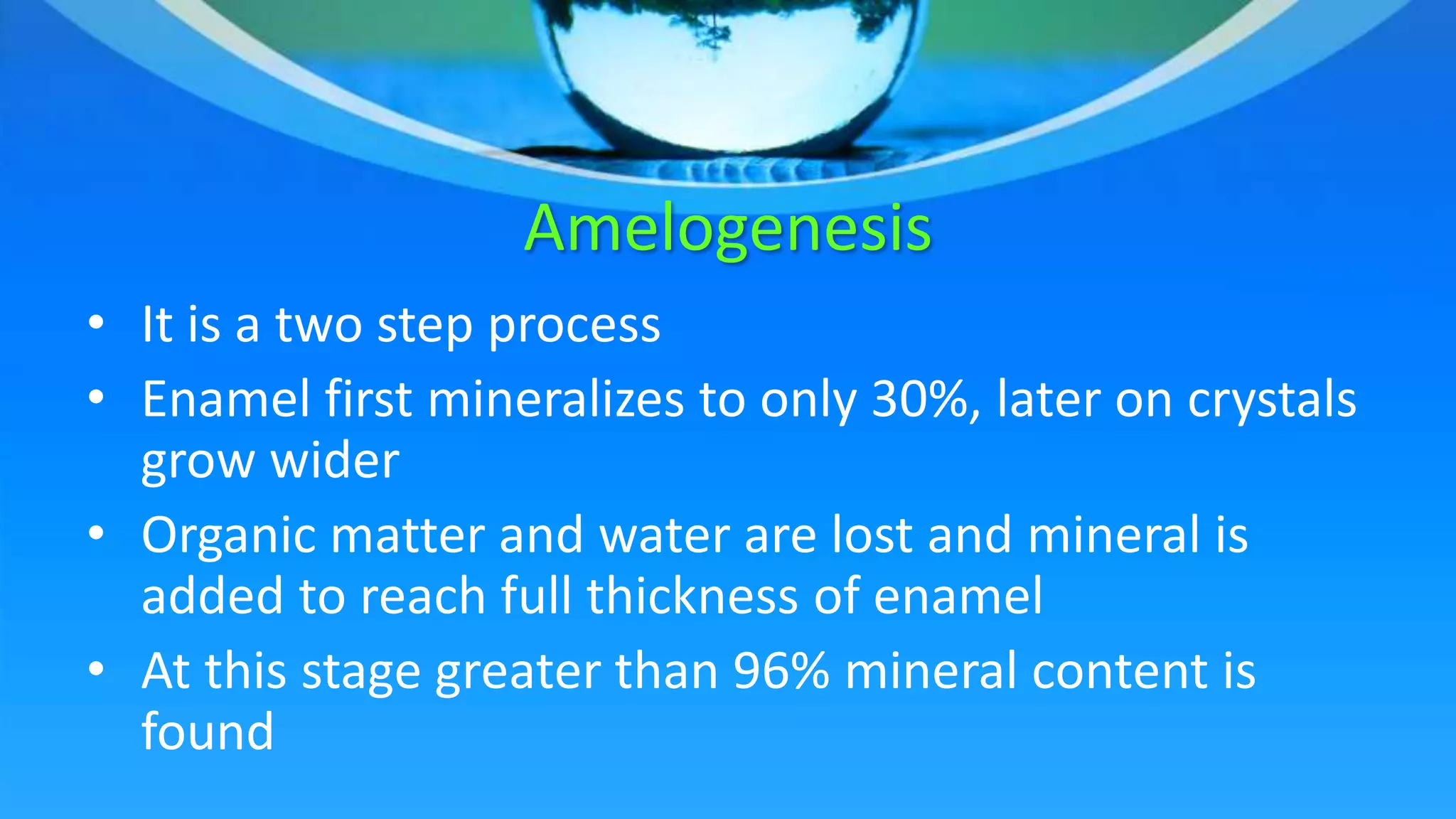 Enamel composition and structure | PPTX