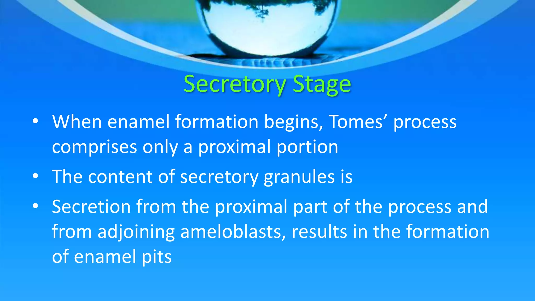 Enamel composition and structure | PPTX