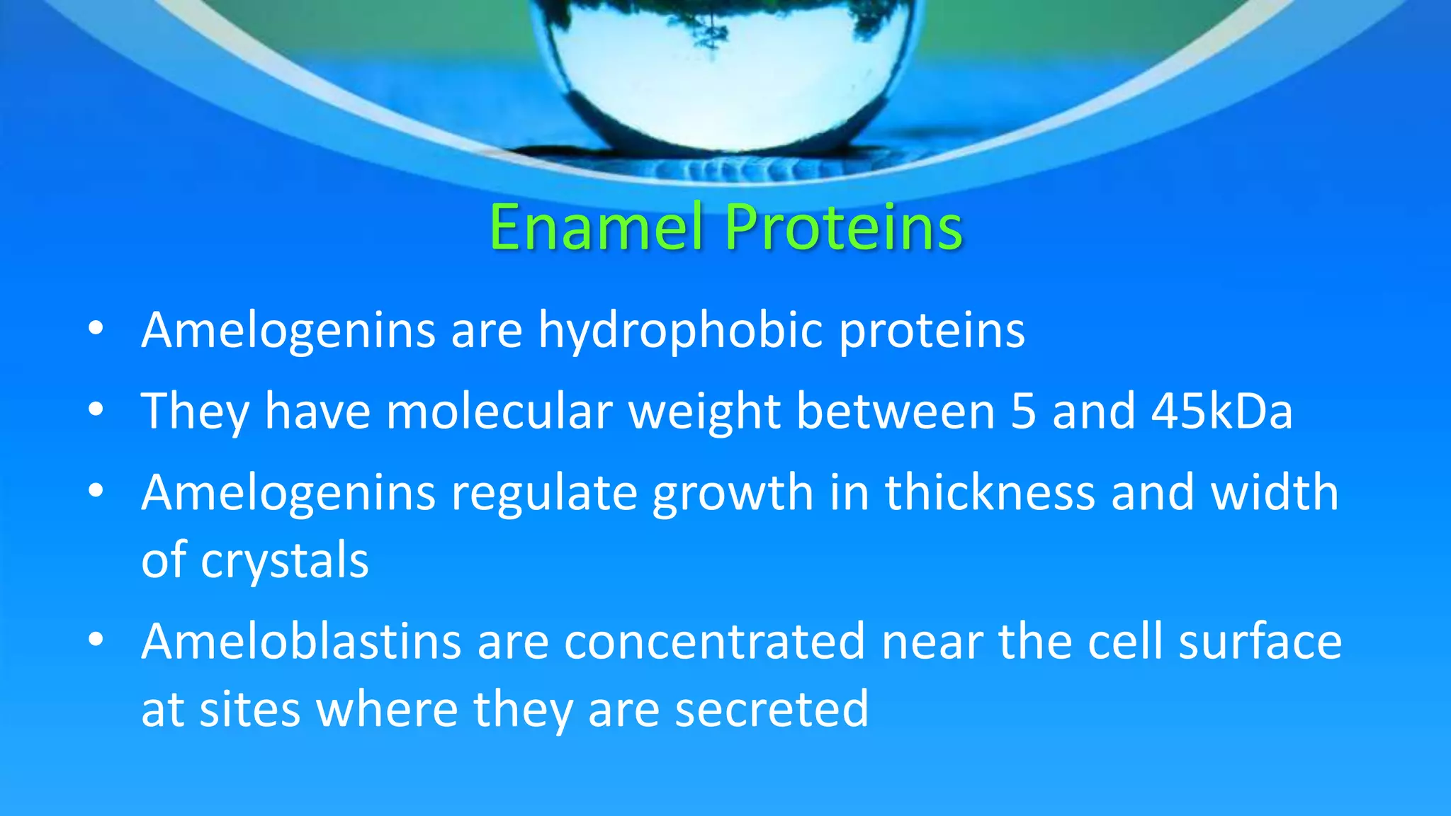 Enamel composition and structure | PPTX