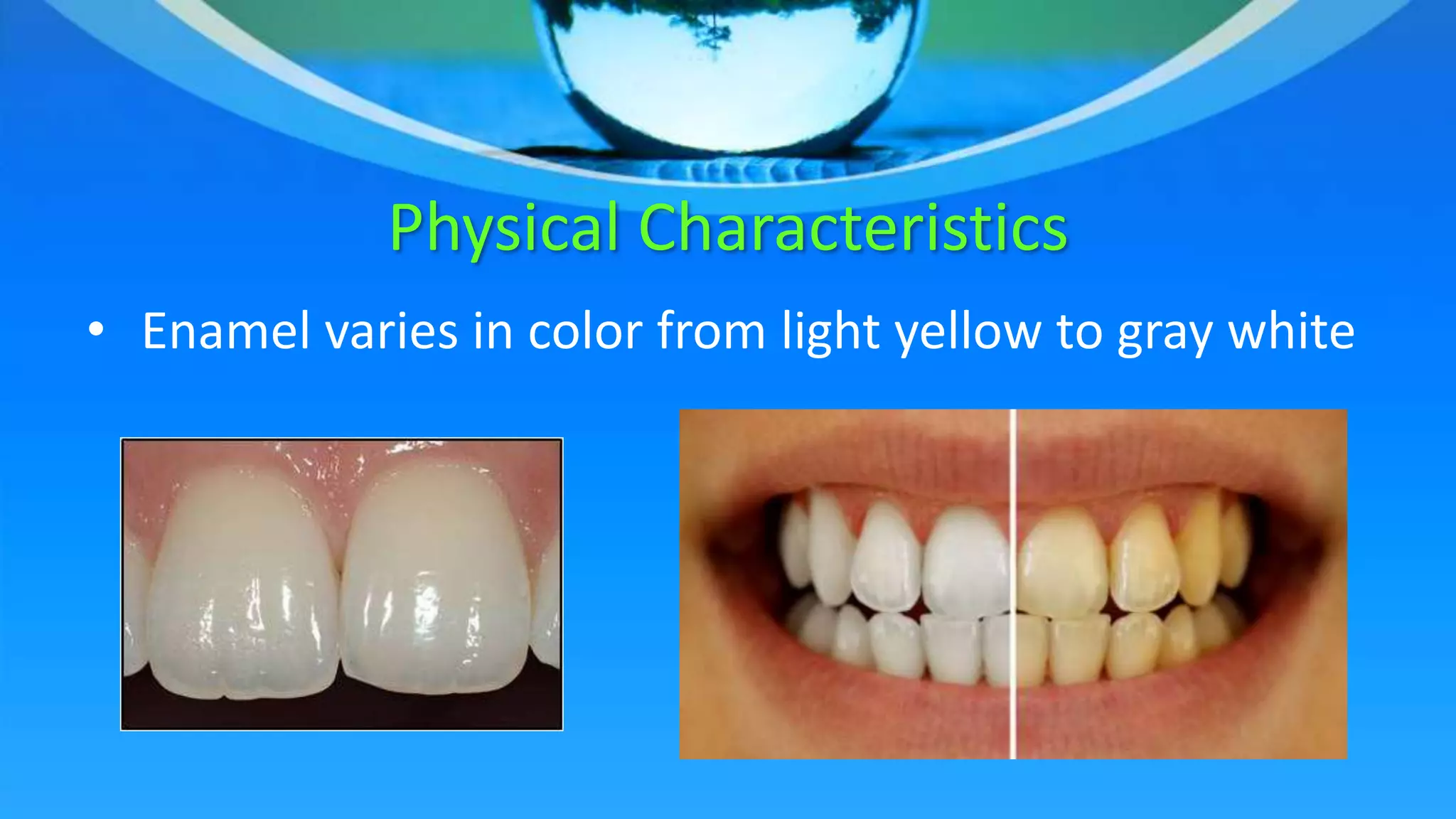 Enamel composition and structure | PPTX
