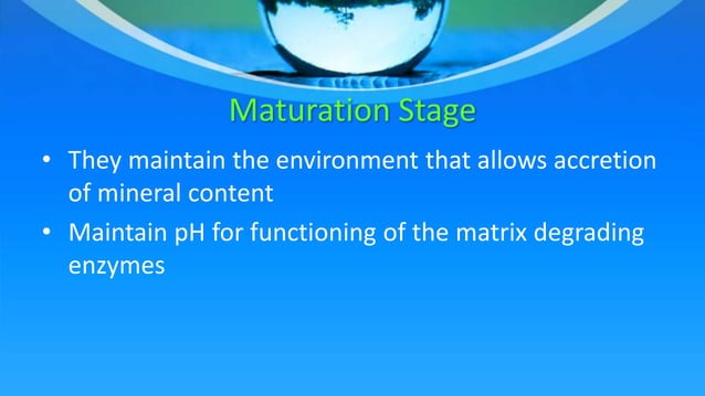 Enamel composition and structure | PPTX