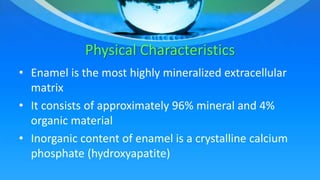 Enamel composition and structure | PPT