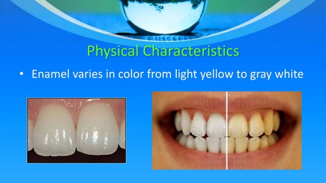 Enamel composition and structure | PPT