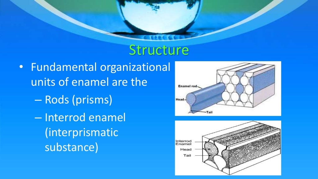 Enamel composition and structure