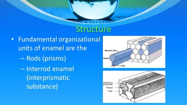 Enamel composition and structure