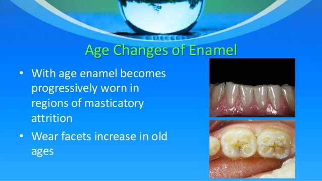 Enamel composition and structure