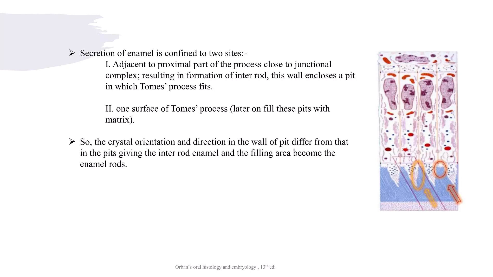 Enamel defects | PDF