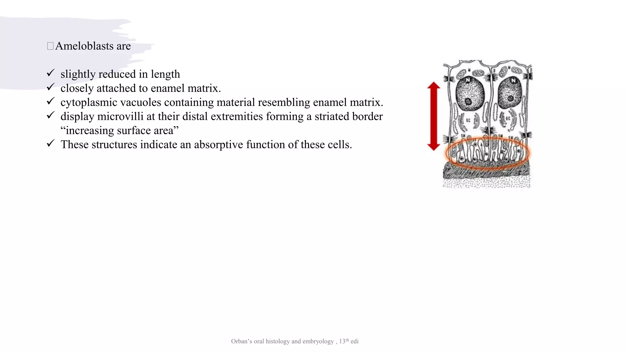 Enamel defects | PDF