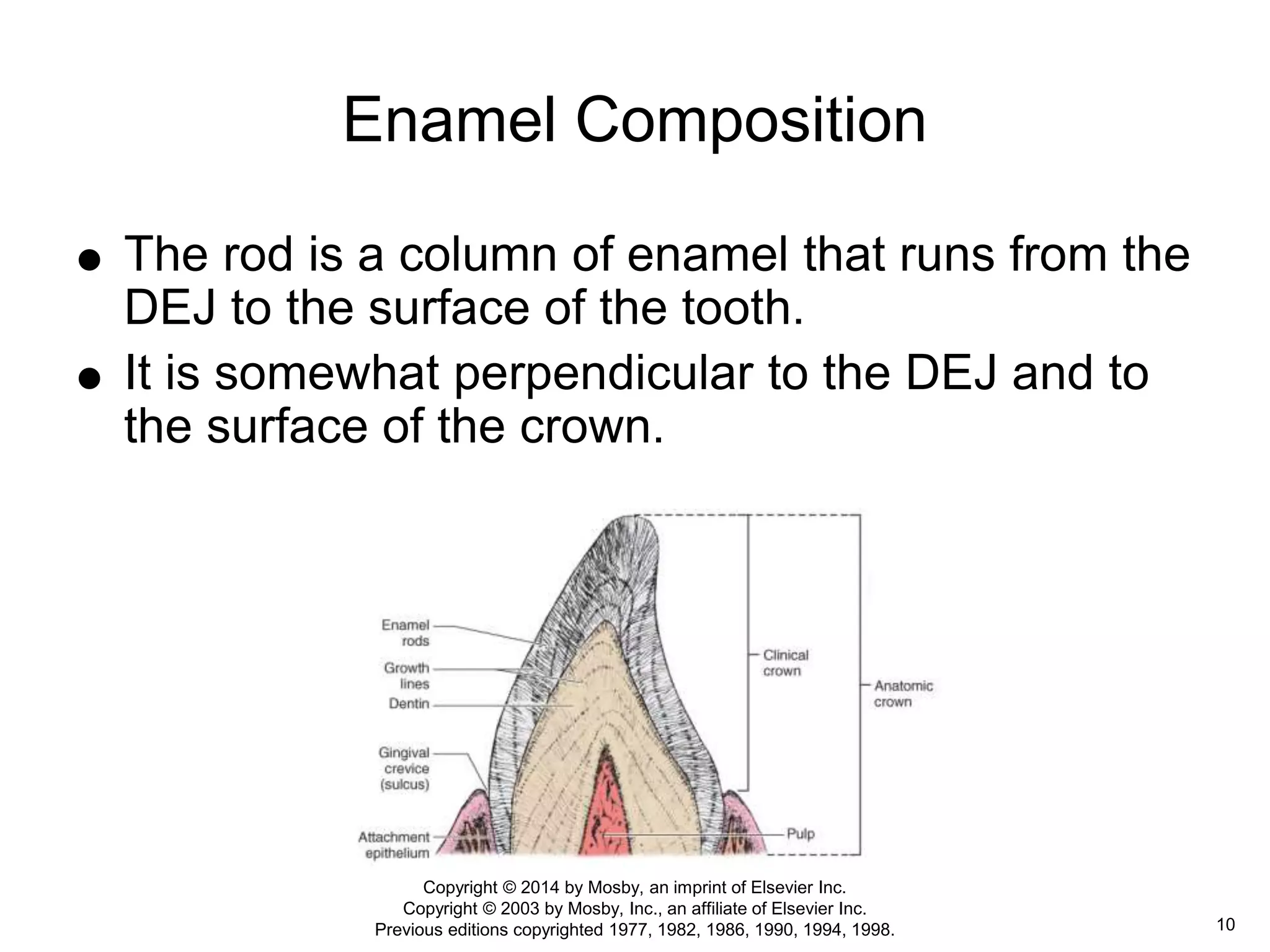 Oral Anatomy: Enamel, dentin, and pulp | PPTX