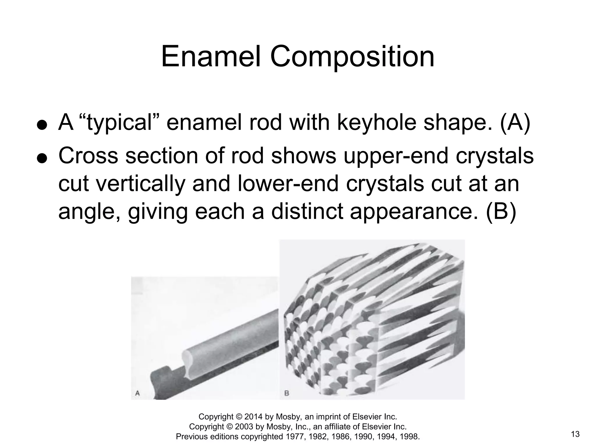 Oral Anatomy: Enamel, dentin, and pulp | PPTX