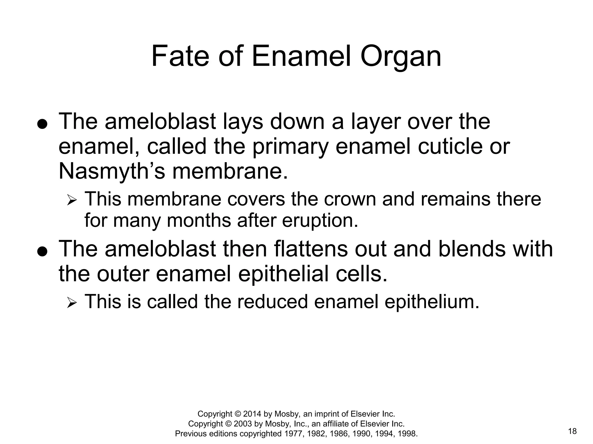 Oral Anatomy: Enamel, dentin, and pulp | PPTX
