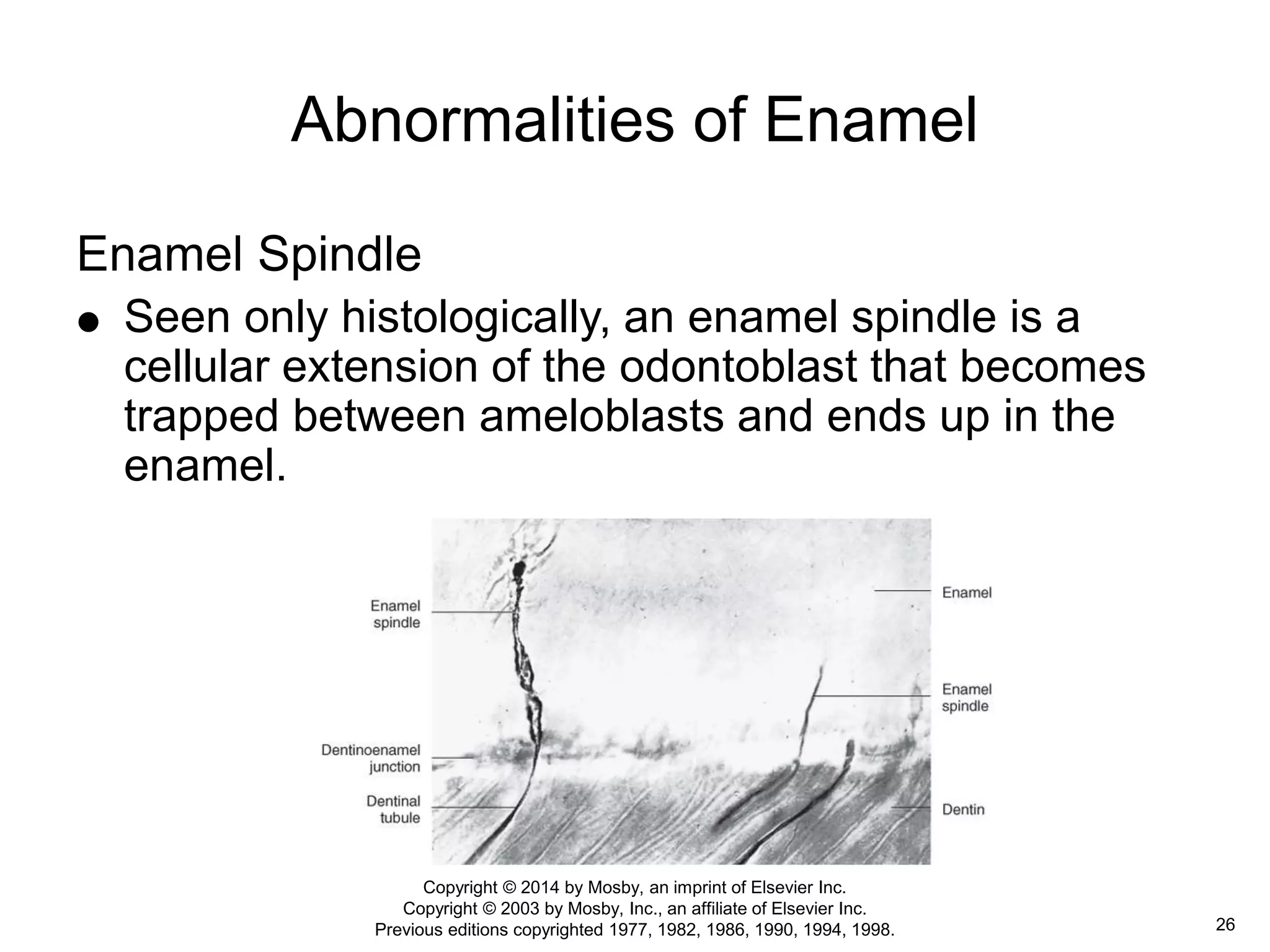 Oral Anatomy: Enamel, dentin, and pulp | PPTX